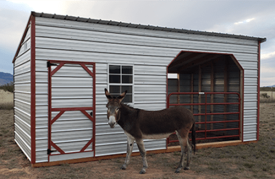 Economy Horse Barn – Emerson Sheds